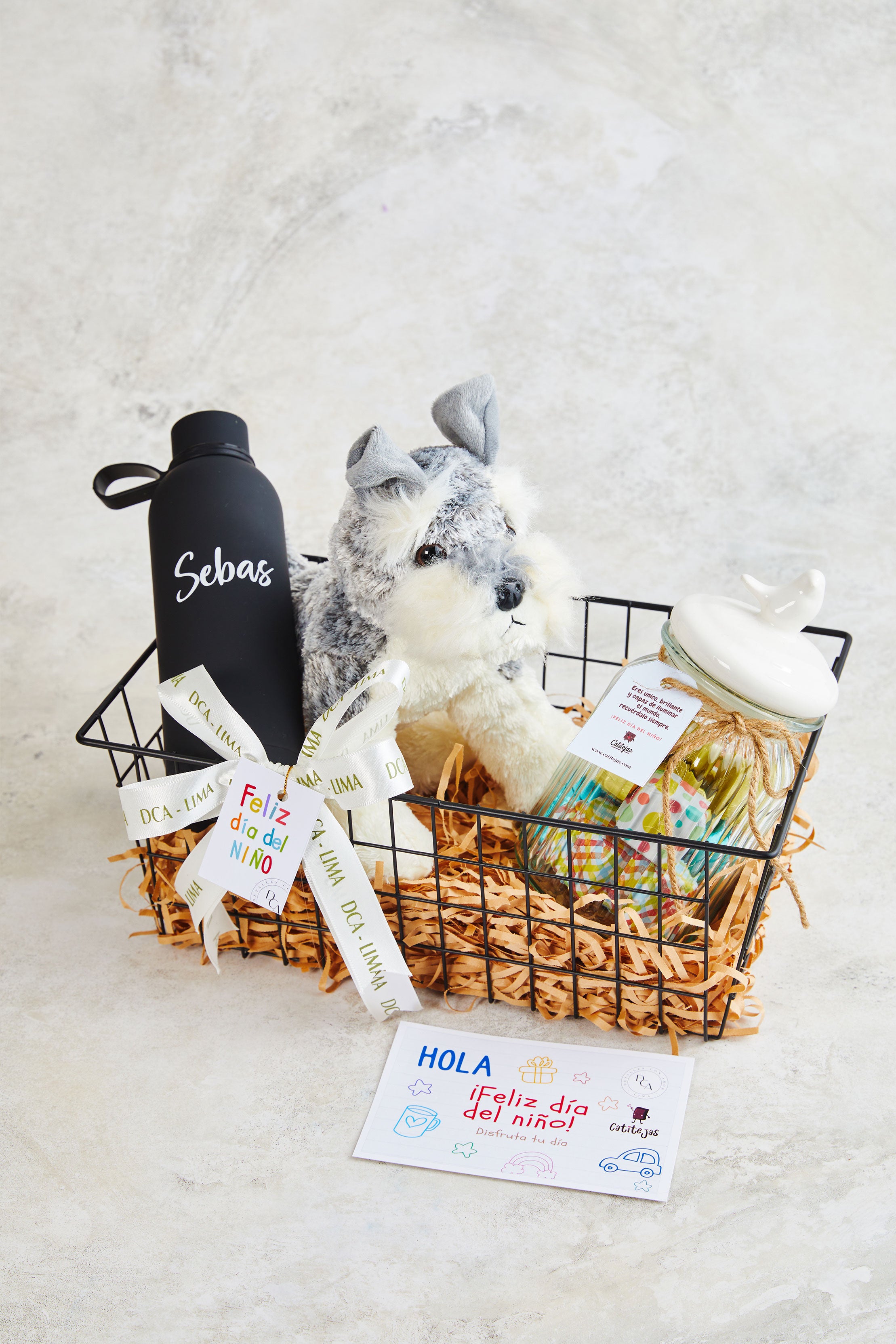 Schnauzer Pack + Catienvase x16 Catitejas